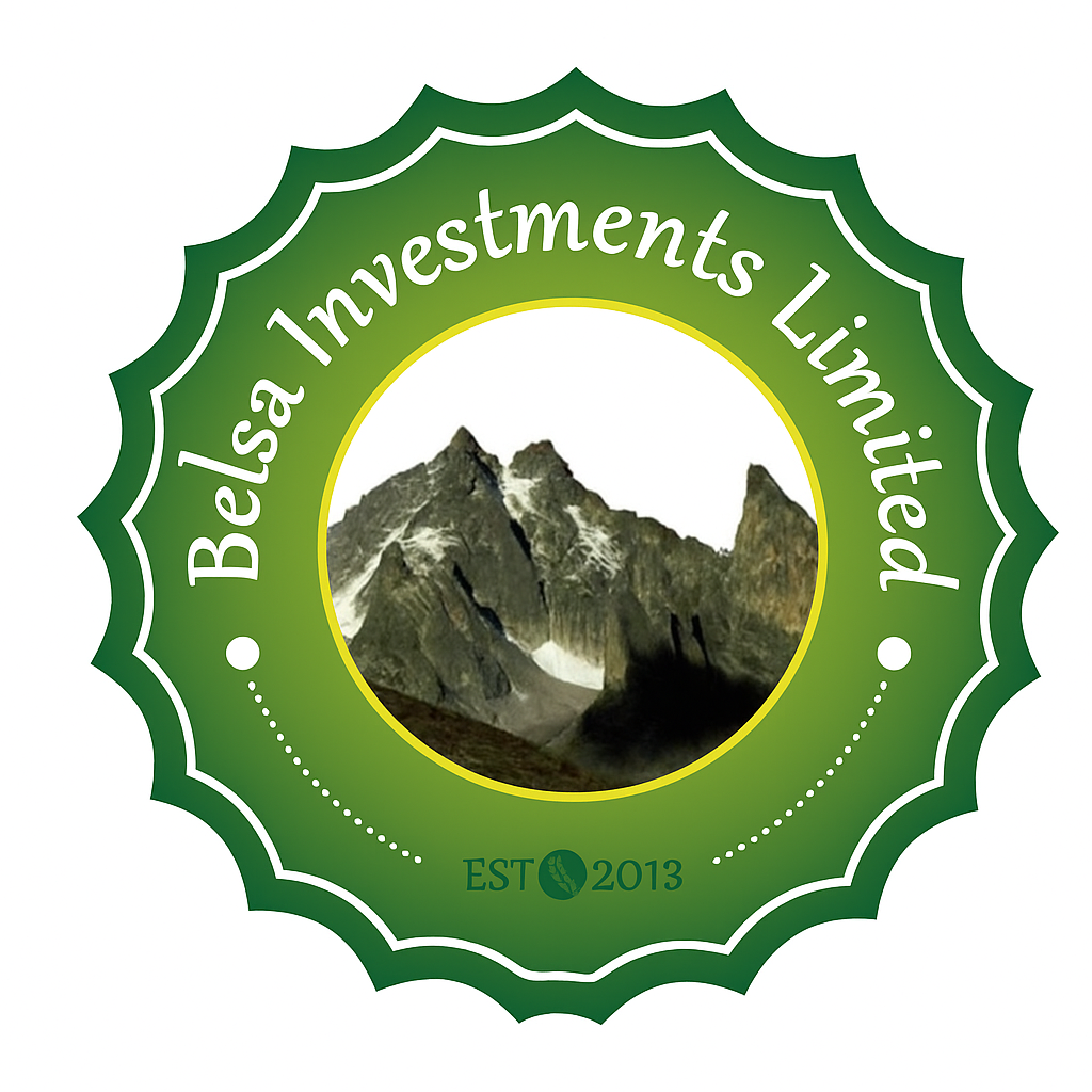 Contact Us – Belsa Investment Ltd